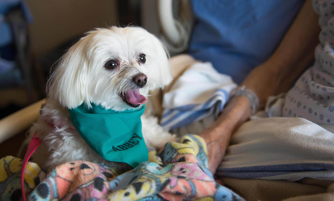 Pet Therapy | Pet Therapy Society of Northern Alberta